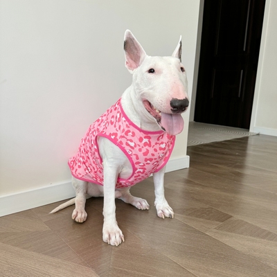 坑条棉透气背心吊带夏季猫狗通穿