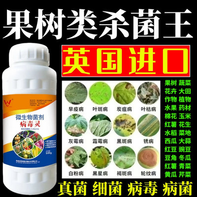 果树类杀菌王灵果树蔬菜花卉杀菌剂锈病炭疽病叶斑病霜霉病叶斑病