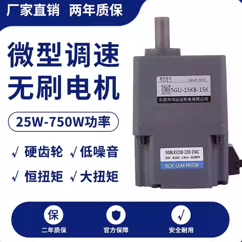 小微型直流无刷交流减速电机220v单相可调变速电机高速恒扭矩马达