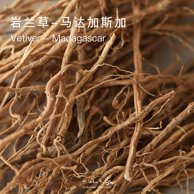马达加斯加VetiverSage'岩兰草