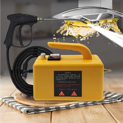 110V/220V plug 2600W Household Electric Steam Cleaner 2600W