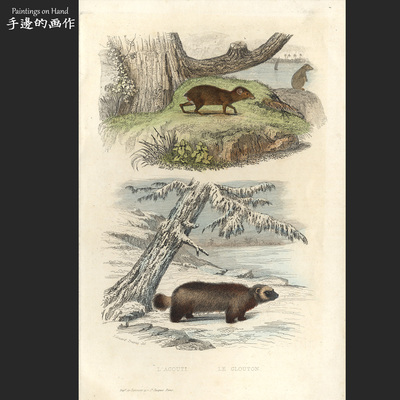 法国装饰画古董版画博物插图