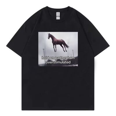 Hold on Partner I Am Overstimulated Horse 飞天马外网搞怪T恤