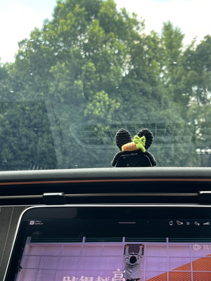 新款奔驰E级E300L/500/EQE/EQS摄像头装饰摆件帽子发箍纯手工钩织