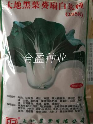 500g进口大地葵扇经典品种白菜