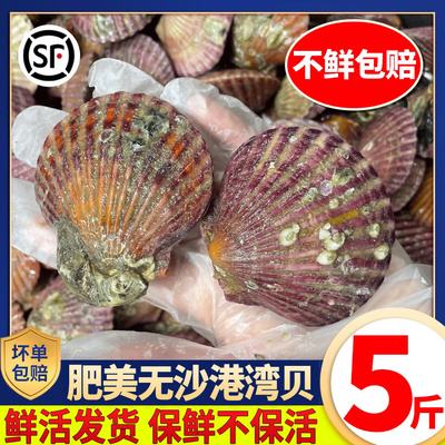 【活发】【肥鲜】【无沙】够称