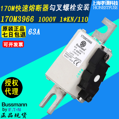 快速熔断器BUSSMANN170M3965