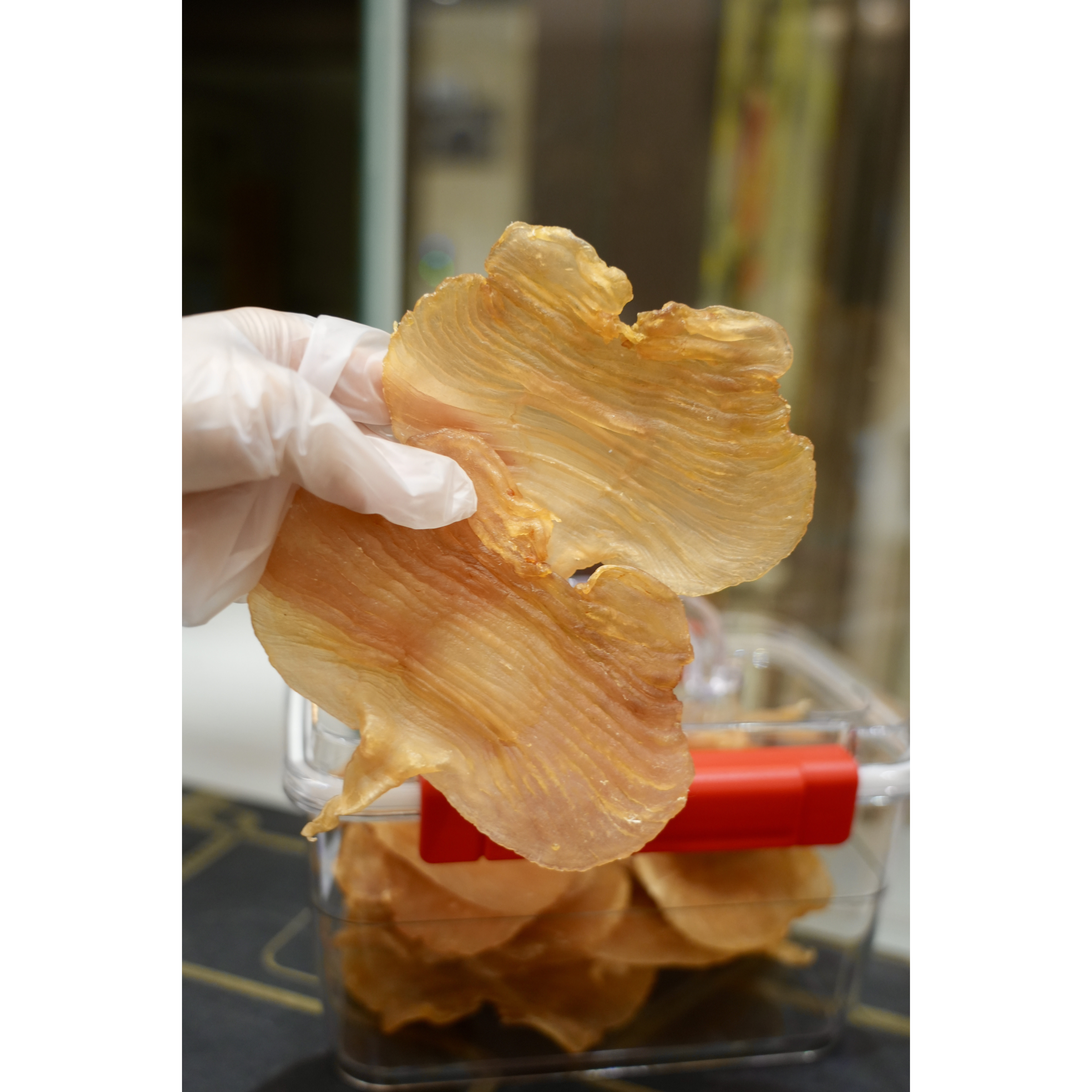 【兴昌补品】精选红鸡赤嘴鱼胶鱼鳔中国花胶足干淡晒胶滋补佳品