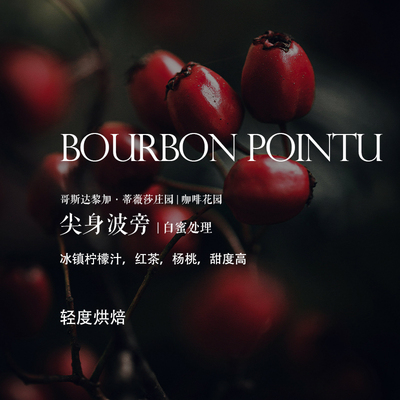 哥斯达黎加帝薇莎庄园尖身波旁