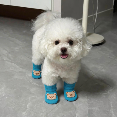 猫咪袜子不掉脚防滑防抓脚套金渐层布偶英短小狗狗春夏季宠物用品