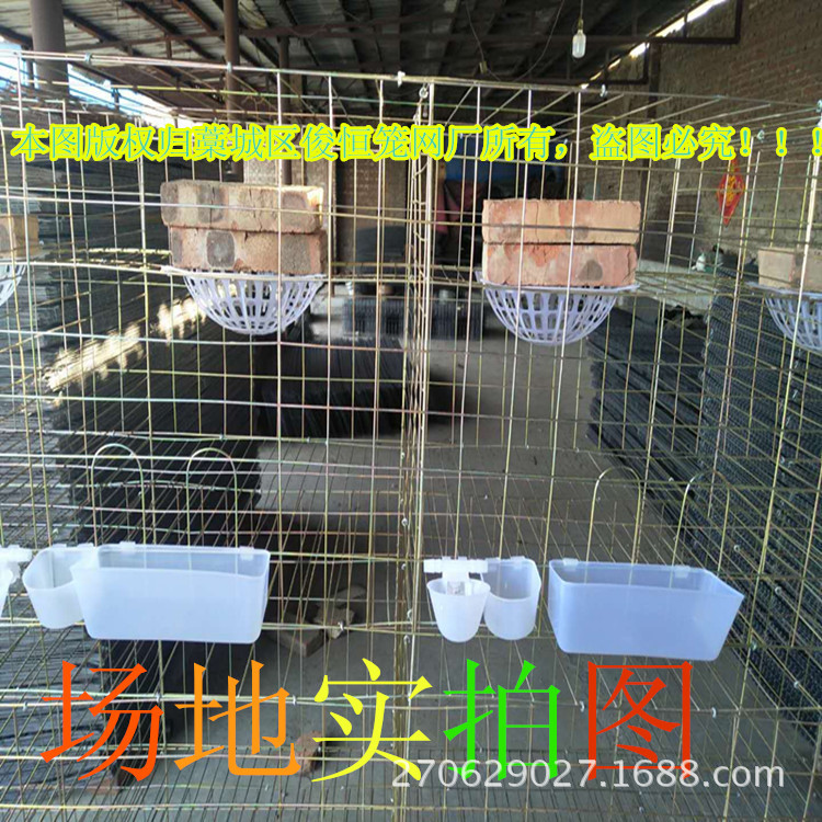 本厂可以来图制作养殖笼具 鸡笼 鸽笼 兔笼