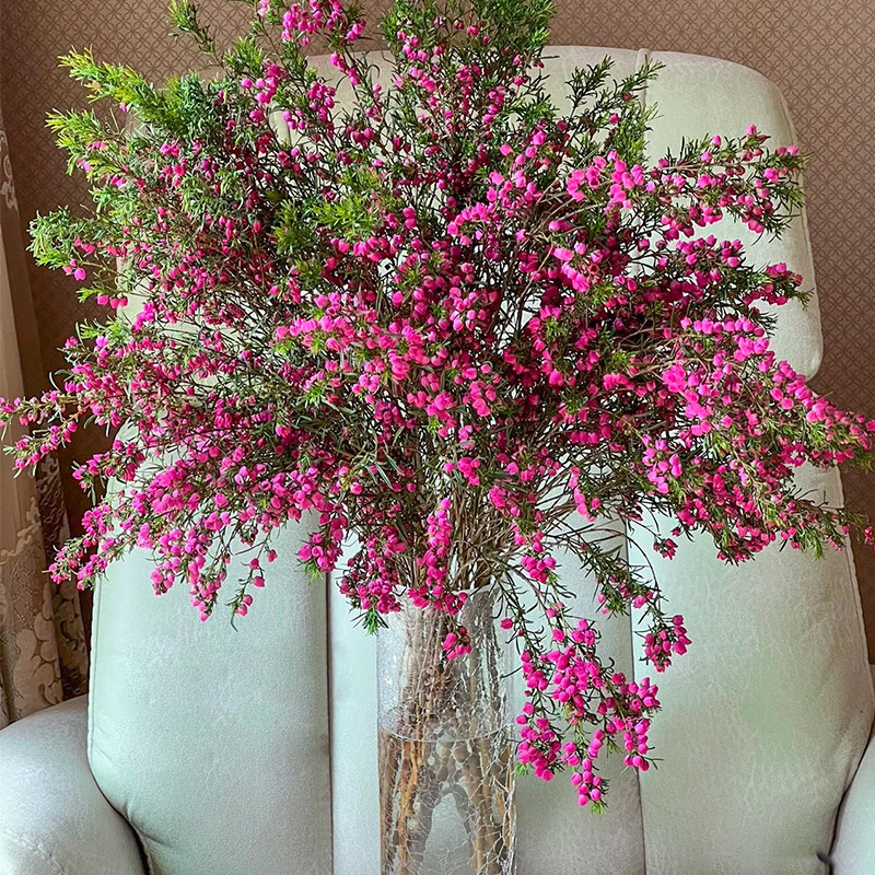 菠萝蜜家庭水养新鲜切枝办公室室内瓶插花桌面观赏装饰节日礼物