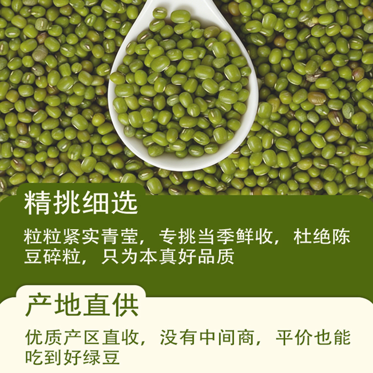 东北农家新绿豆皮薄易煮易出沙可发芽消暑杂粮绿豆粥绿豆糕原料