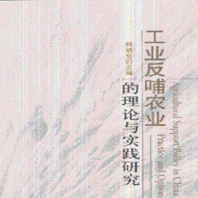 工业反哺农业的理论与实践研究:practice and options 柯炳生 工业经济关系农业经济经济发展研 经济书籍人民出版社