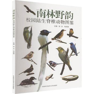 南林野韵:校园陆生脊椎动物图鉴 张永     自然科学书籍正版