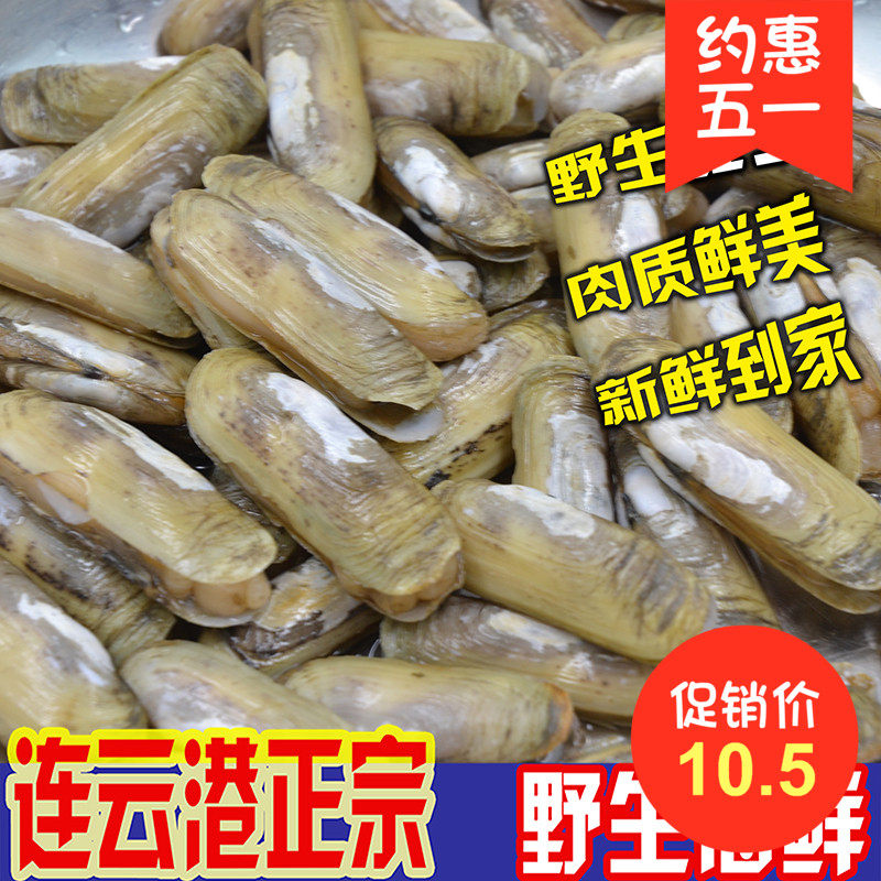 鲜活蛏子新鲜蛏子无沙双头蛏大竹蛏双头蛏海贝海产品贝类海鲜