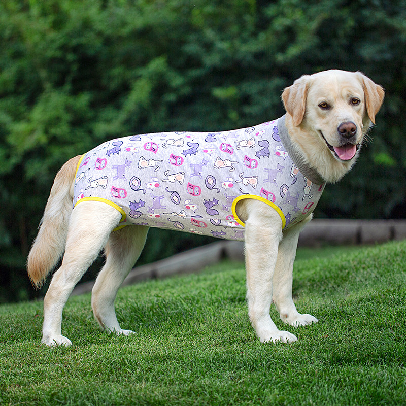 大狗狗衣服薄款大型犬背心金毛护肚子包肚衣服印花母狗断奶绝育服