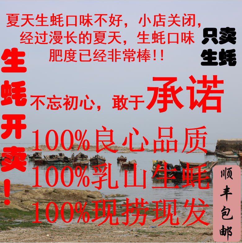 乳山野生生蚝鲜活5斤一箱保肥包邮特大带壳牡蛎即食海蛎威海海鲜