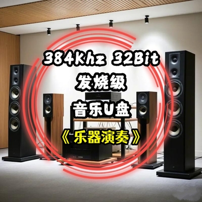 384khz32bit转盘数字音乐u盘乐器演奏民乐纯音乐无损wav分轨解码