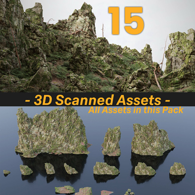 Forest Cliffs Moss Low-poly 3D model 3D Scanned Assets CGT