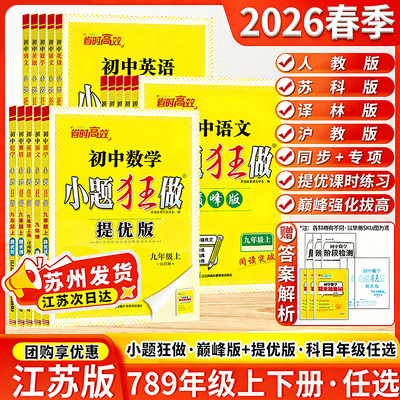 小题狂做提优版江苏版同步训练