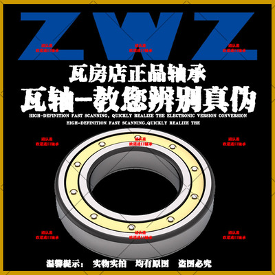 ZWZ瓦房店深沟球轴承高转速电机
