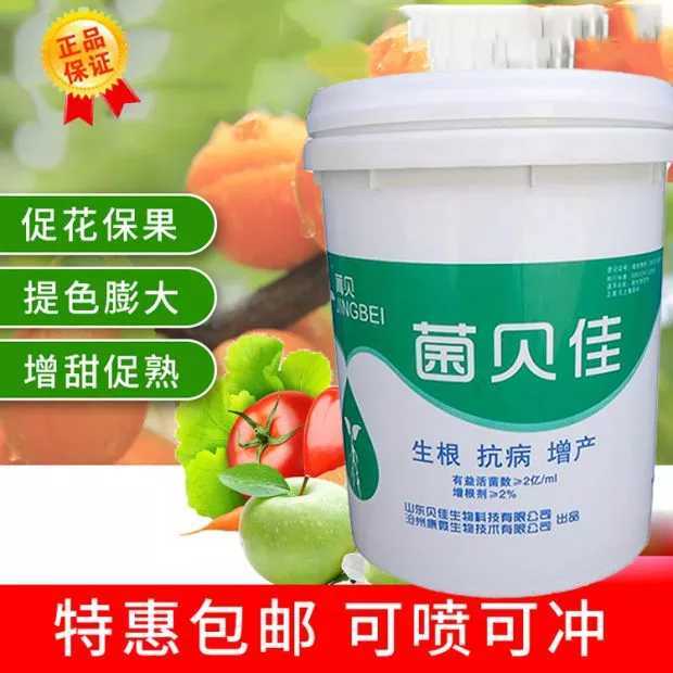 微生物冲施菌肥大棚瓜果蔬菜果树生根壮秧番茄黄瓜水溶菌肥包邮