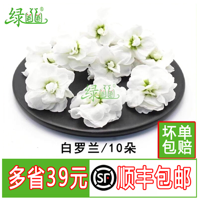 新鲜白色罗兰花点缀冷菜装饰