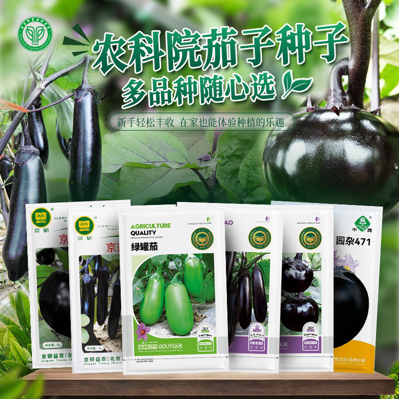农科院茄子种子紫黑圆茄烧烤长茄线茄绿罐茄阳台菜园易种蔬菜籽孑