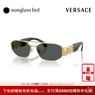 VERSACE/范思哲太阳镜男墨镜不规则眼镜0VE2287