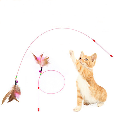 100厘米长高品质的宠物猫玩具与贝尔新