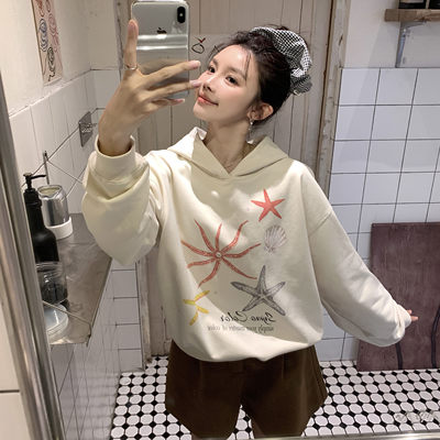 SYMOCOLOR海星贝壳连帽卫衣