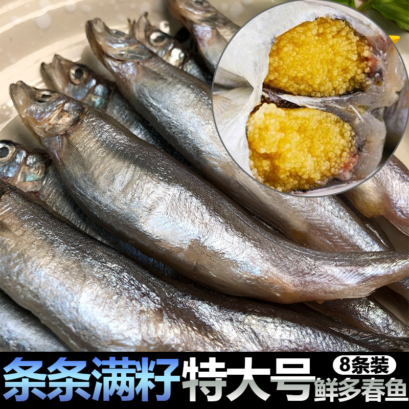 深海特大满籽多春鱼新鲜带籽鱼烧烤冷冻海鲜水产鲜活多子鱼 8条装