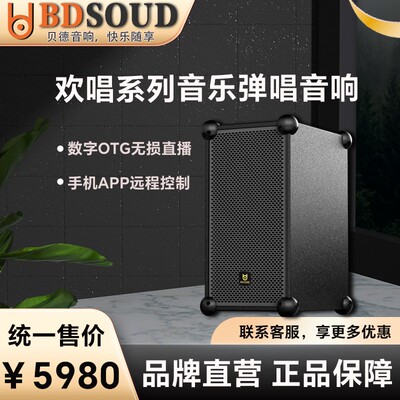 贝德欢畅BD-H0878乐器弹唱音响双8寸专业户外K歌直播小型演出音箱