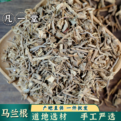 马兰根马兰草路边菊蟛蜞