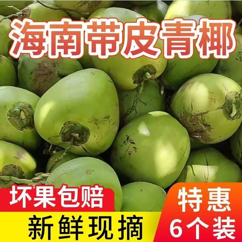现摘超大果海南文昌三亚新鲜带皮青椰子汁水多孕妇补羊水椰青特产