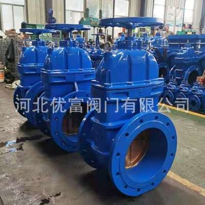 德标硬密封闸阀DN100 DN200 厂家Z41T 球墨铸铁防护闸阀