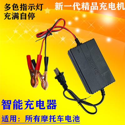 包邮铅酸加水保护2-25a干电池