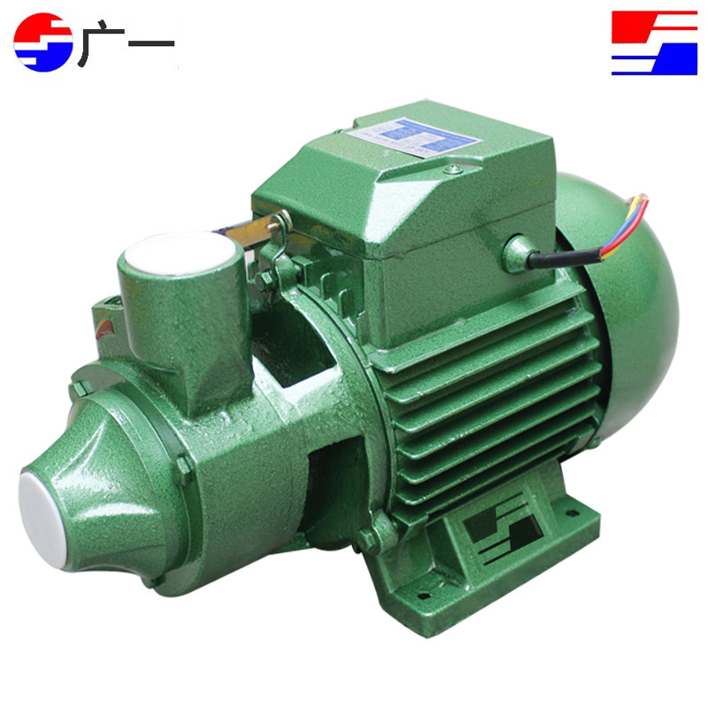 广一1DB65清水泵 380V家用泵 三相单相220V增压泵 750W