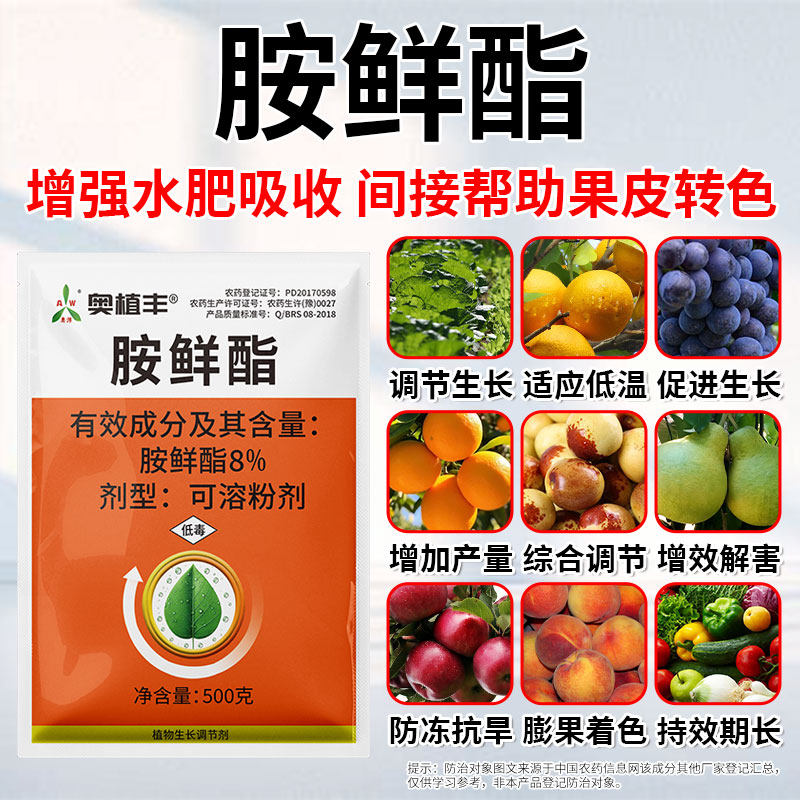 奥潍胺鲜酯适应低温促进生长增加产量调节白菜生长植物生长调节剂