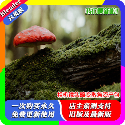 Blender源文件Jackimorphic 1.03相机镜头变形畸变散景焦外资产包