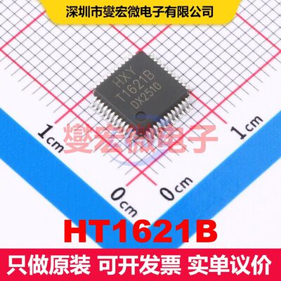 HT1621B LQFP-48(7x7) 显示驱动器 电源管理 集成芯片IC