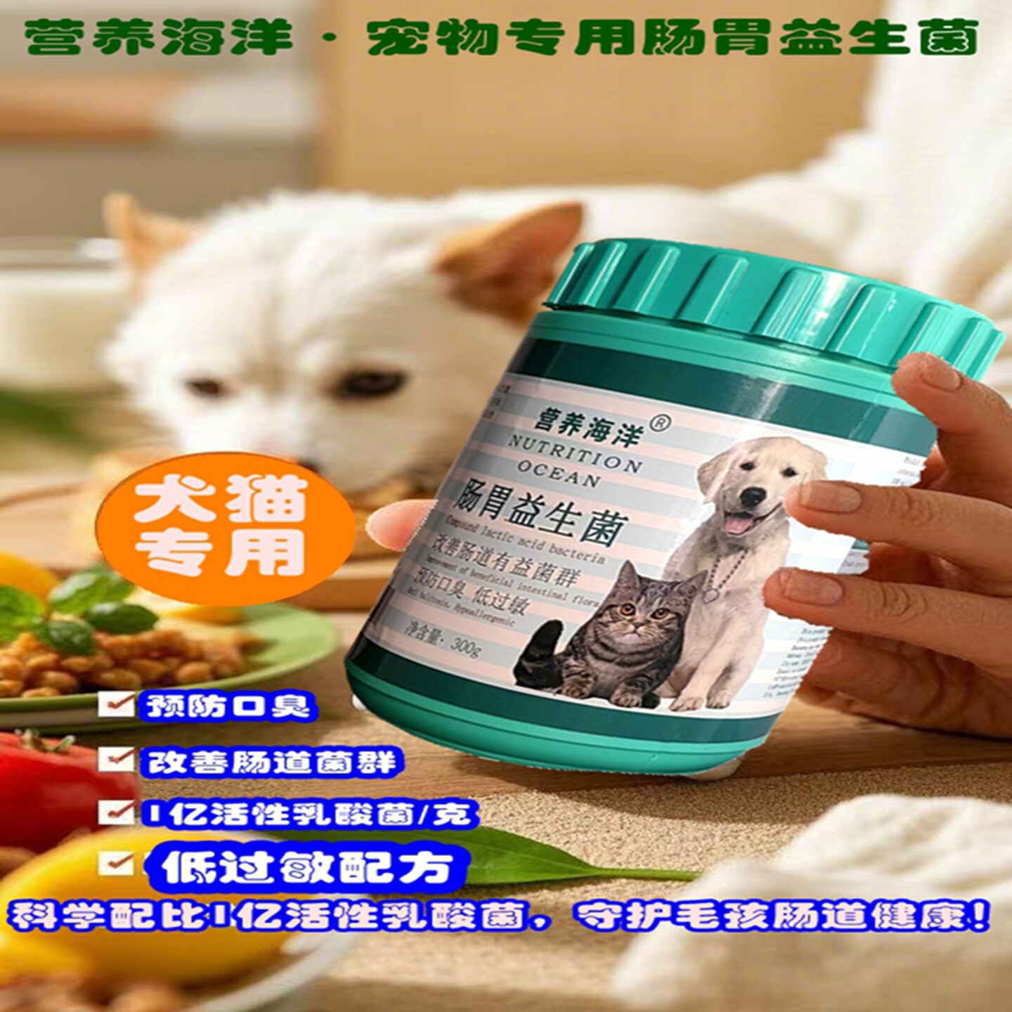 营养海洋犬猫肠胃益生菌改善肠道菌群防口臭低敏配方狗不吃饭瘦