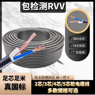 真国标过检RVV2芯3芯电源线