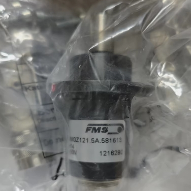 FMS张力传感器 RMGZ121.5A.581613. H14 150N