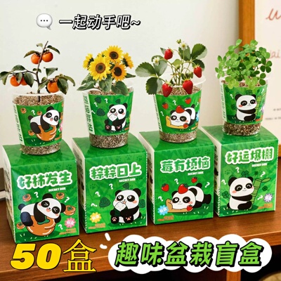熊猫种植盆栽盲盒小学生奖品