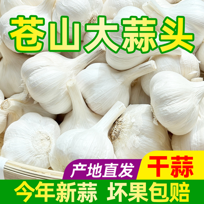 新蒜【苍山白皮大蒜】正宗四六瓣