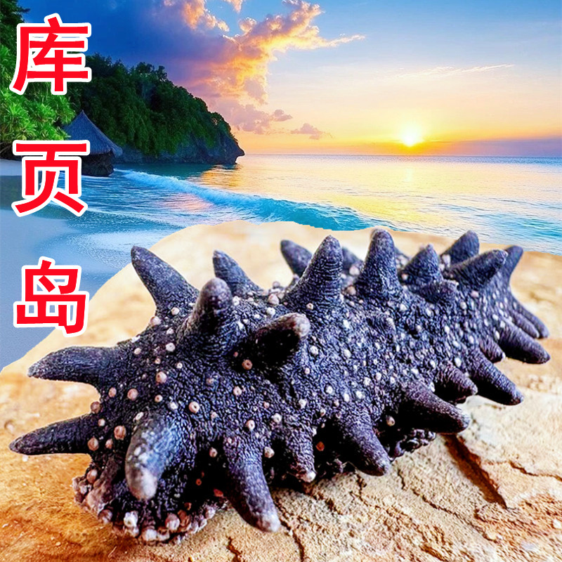【无药残】俄罗斯进口野生淡干海参干货天然大红参刺参非大连即食