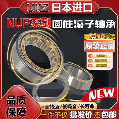 日本进口UKZ圆柱滚子轴承NUP1005 1006 1007 1008 1009 1010 EM