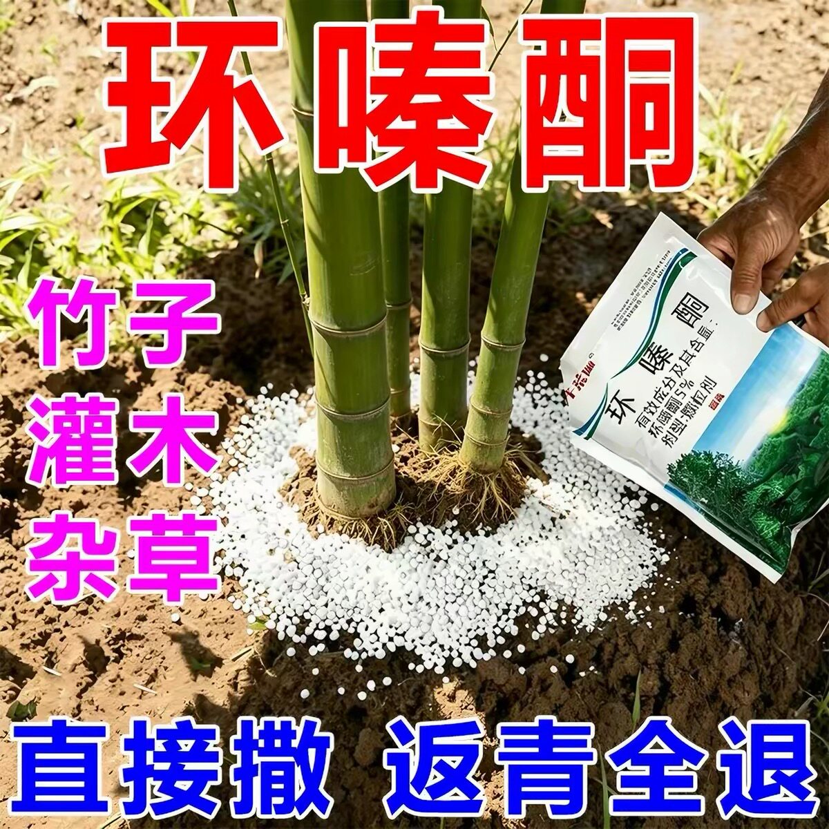 环嗪哃灌木杂草强力除草烂根专用药环嗪酮除杂灌滕蔓颗粒剂除草剂